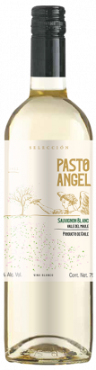 VINO BLANCO PASTO ANGEL SELECCION SAUVIGNON BLANC 750ML | TPF