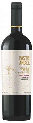 VINO TINTO PASTO ANGEL SELECCION CABERNET SAUVIGNON 750ML | TPF